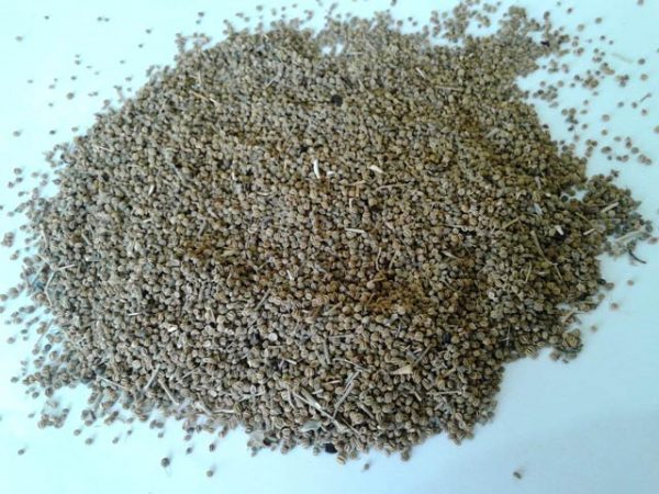 Seeds – Anant Herbs
